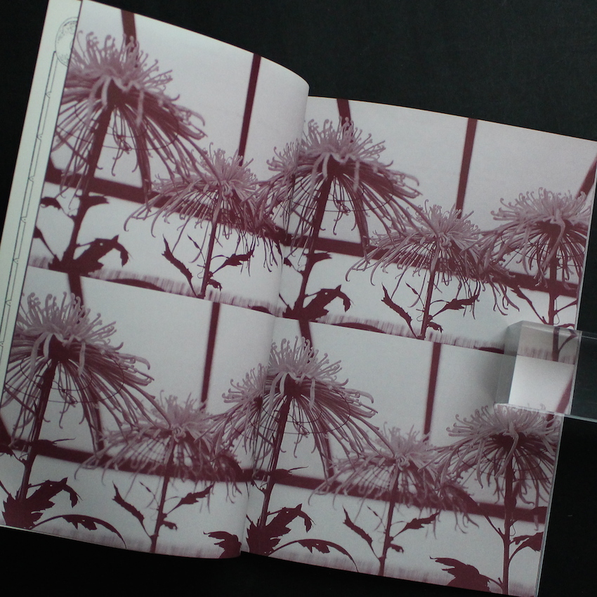 憩写真帖 - 沼田 元氣 / Genqui Numata