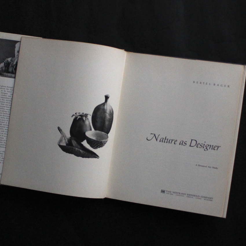 Nature as designer -A botanical art study- - Bertel Bager