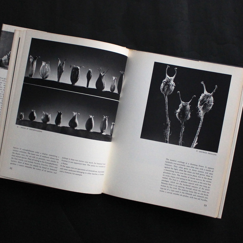 Nature as designer -A botanical art study- - Bertel Bager