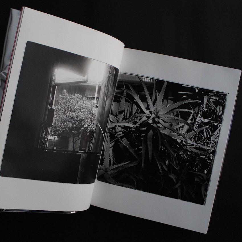 Kumano - 伊藤 トオル / Toru Ito