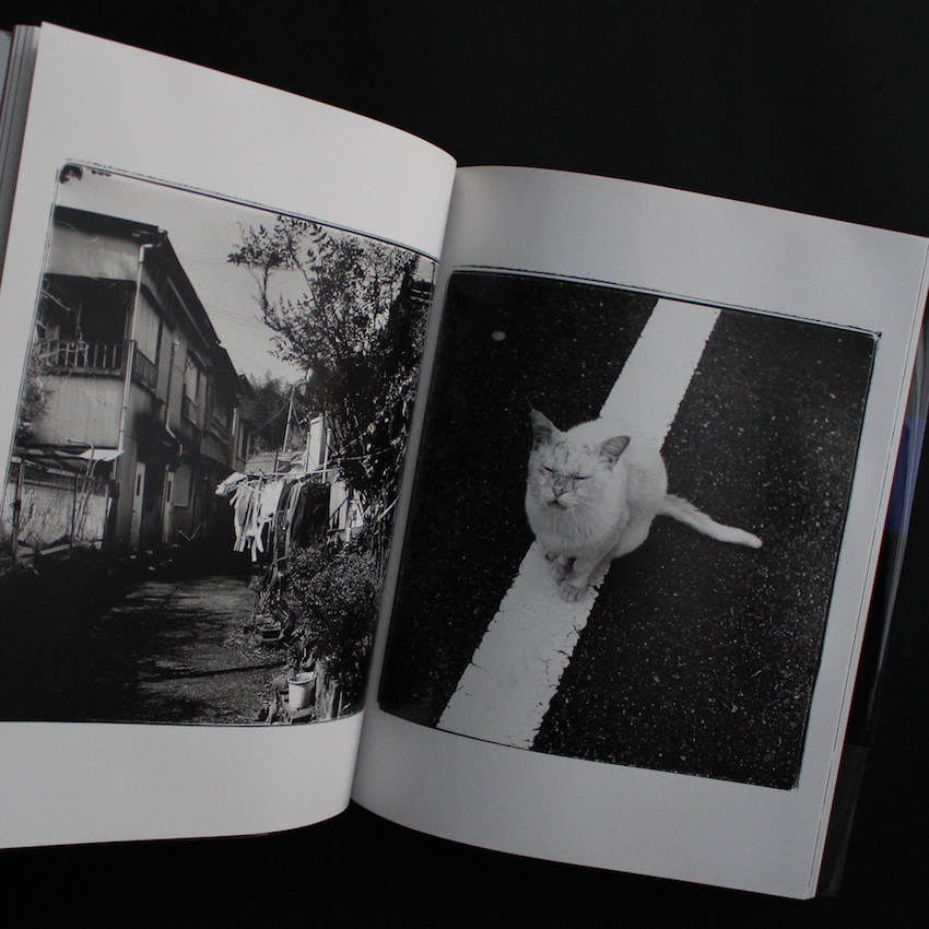 Kumano - 伊藤 トオル / Toru Ito