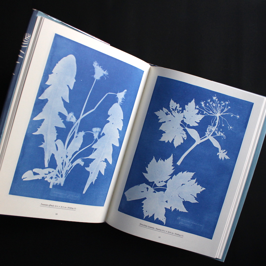 Sun Gardens Victorian Photograms（With Frankel Gallery Flyer） - Anna Atkins