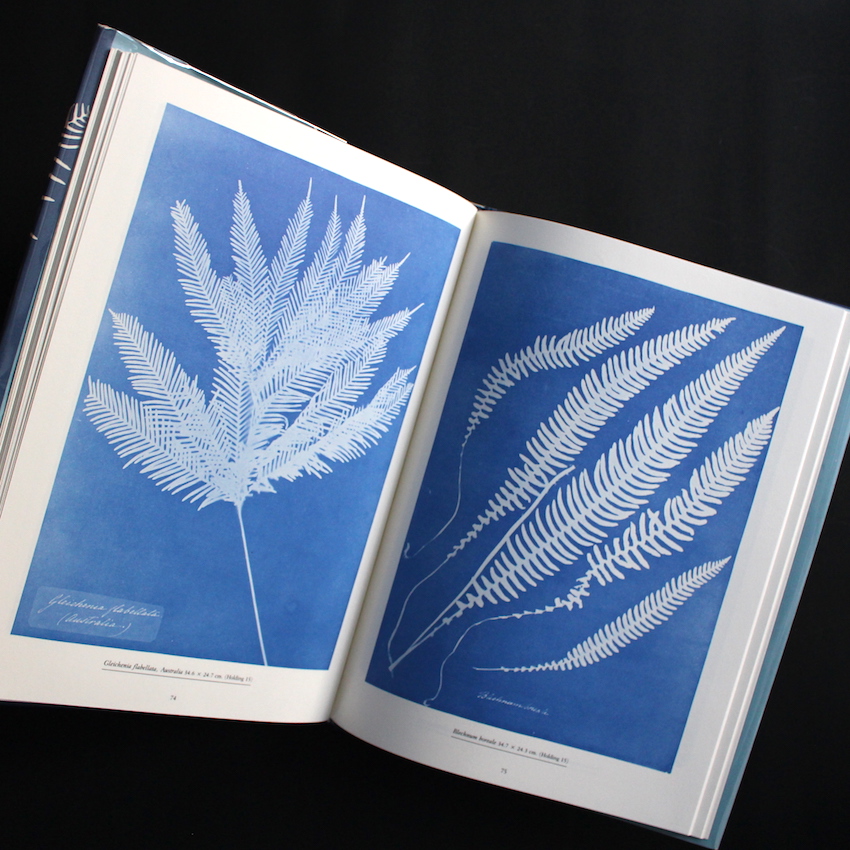 Sun Gardens Victorian Photograms（With Frankel Gallery Flyer） - Anna Atkins