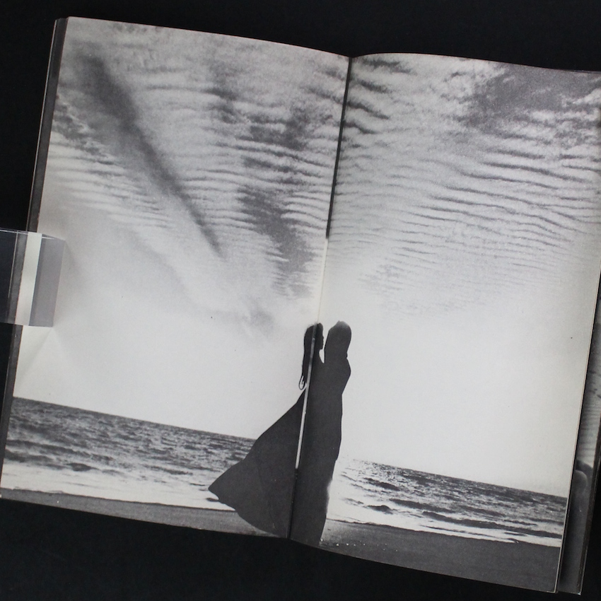 Salome / 狂気のうたげ - 一村 哲也 / Tetsuya Ichimura